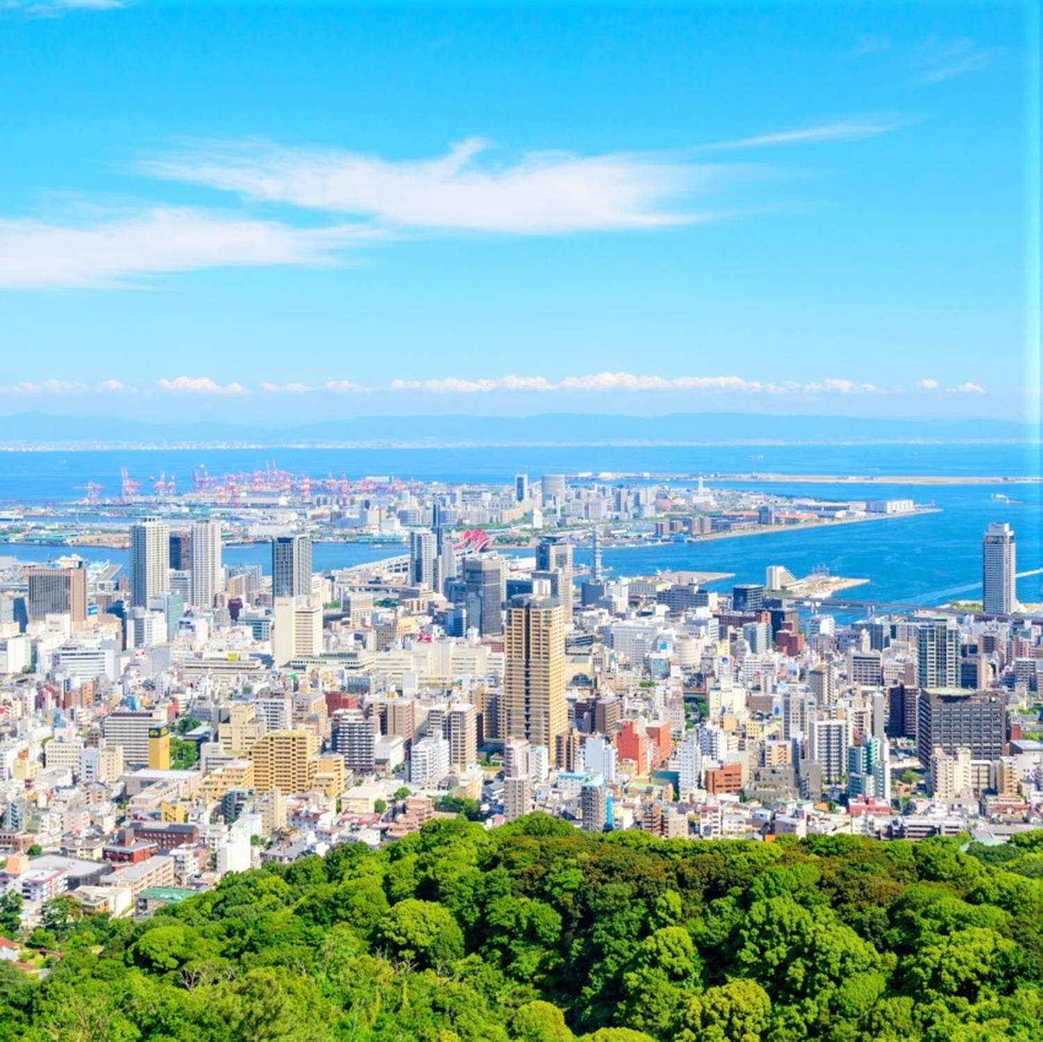 Photos: Night View of Kobe | JAPANICLE