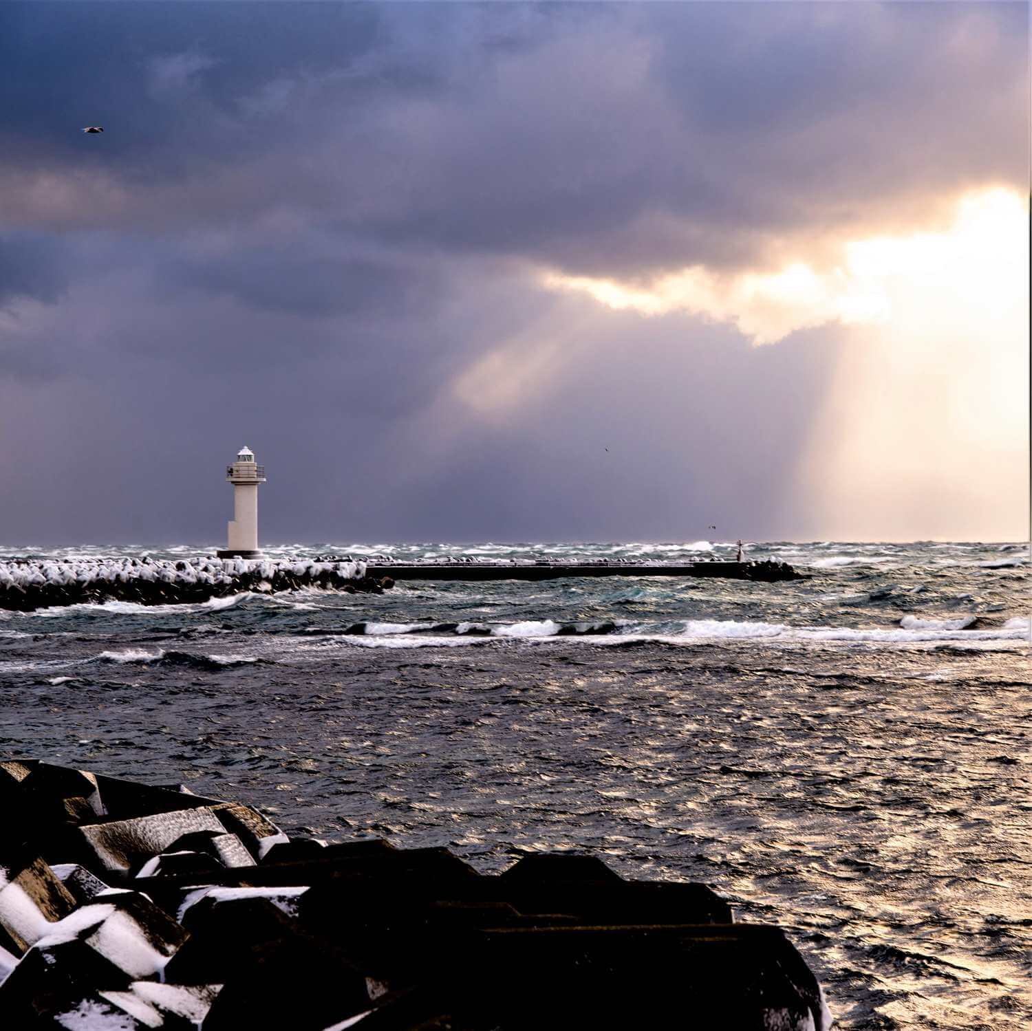 Photos: Wakkanai -The northernmost town of Hokkaido | JAPANICLE