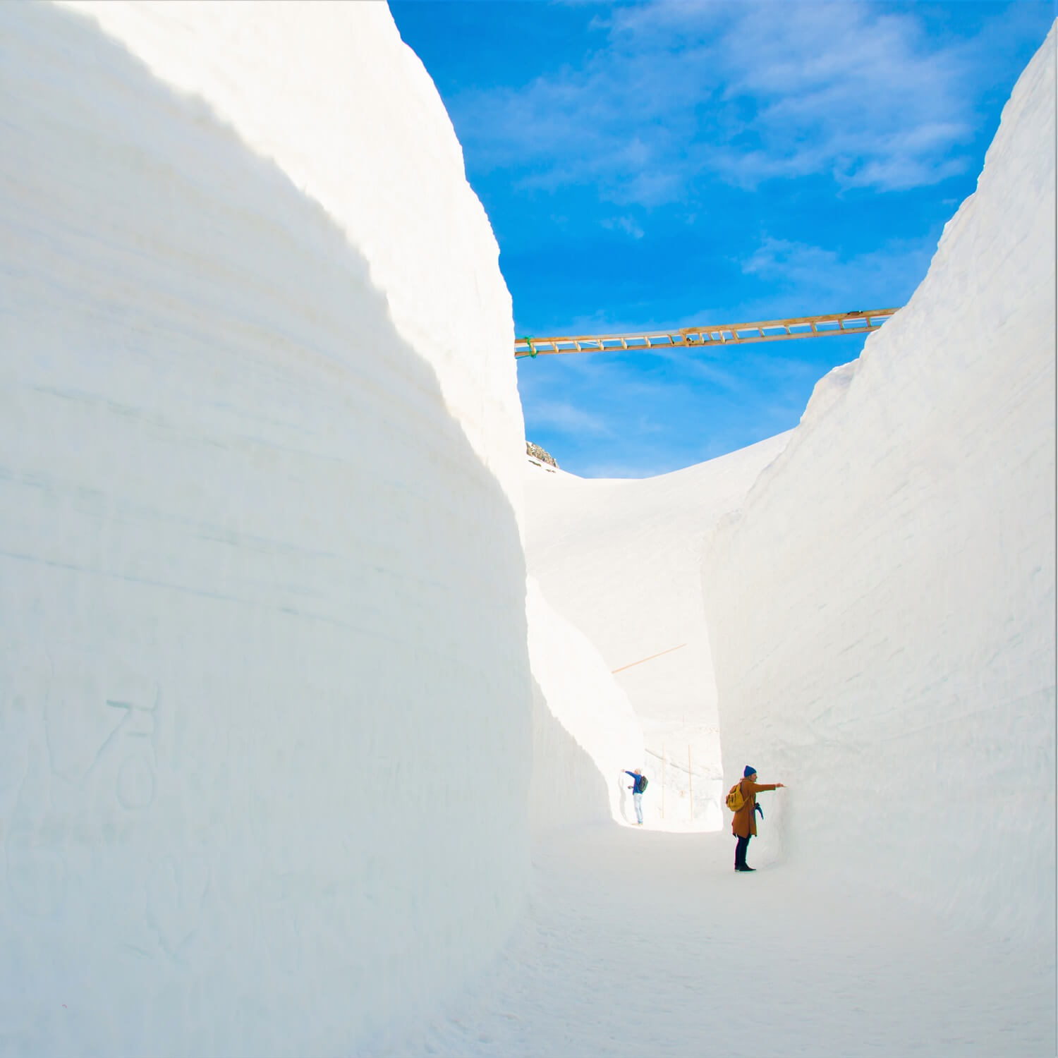 12 Best Snow Destinations in Japan: Shirakawago, Jigokudani, Niseko ...