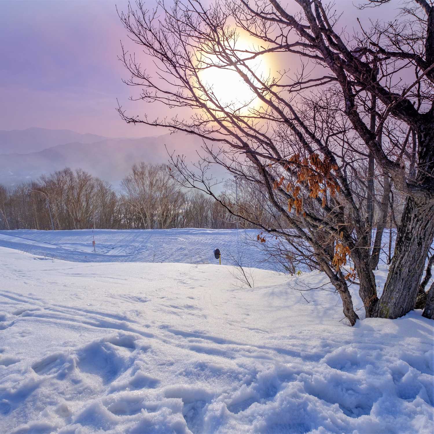 Photos: Mt. Moiwa -Panoramic view of Sapporo | JAPANICLE