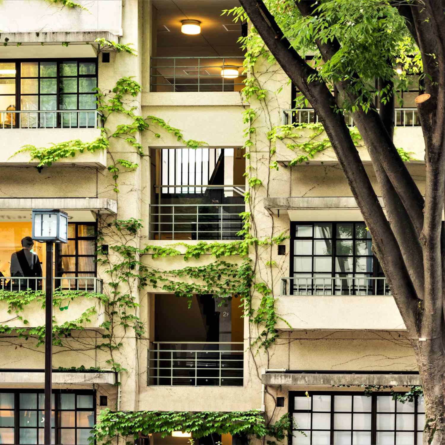 Photos: Omotesando in Tokyo | JAPANICLE