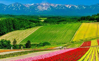 Samurai & Ninja experience! 8 Best Recommended Spots in Japan | JAPANICLE